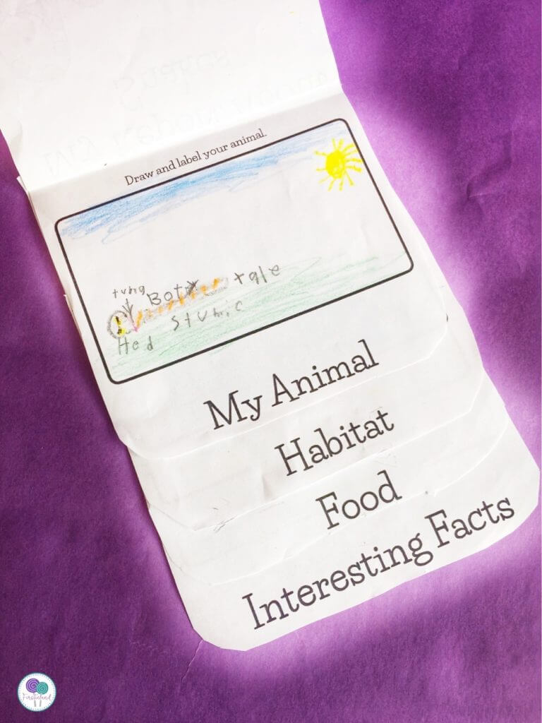 Animal Habitats - A First Grade Research Project - Firstieland - First ...