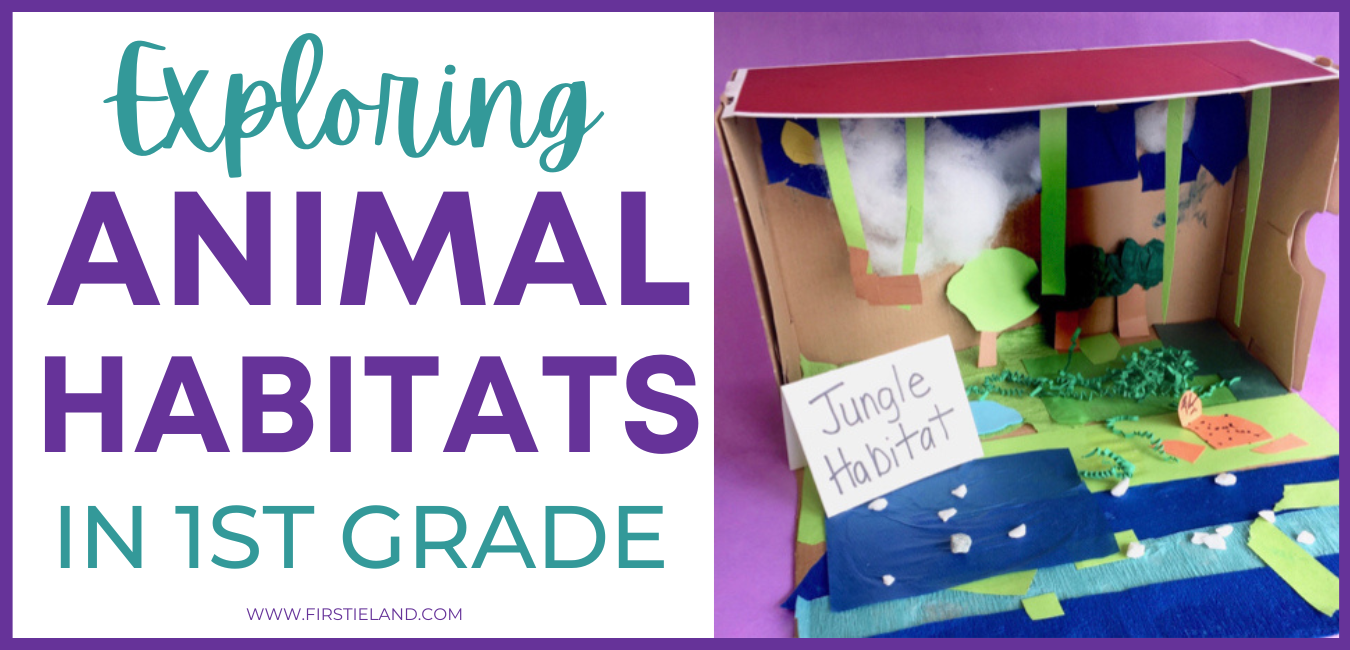 Animal Habitats Easy First Grade Research Project - Firstieland - First ...