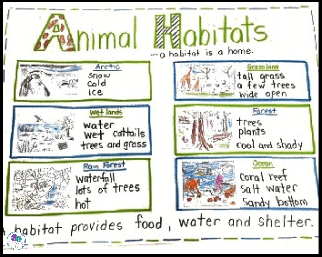 Animal Habitats Easy First Grade Research Project - Firstieland - First ...