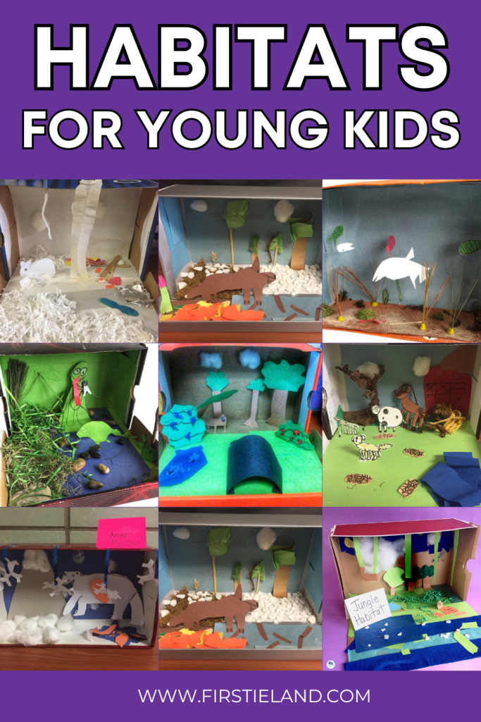 Animal Habitats Easy First Grade Research Project - Firstieland - First ...