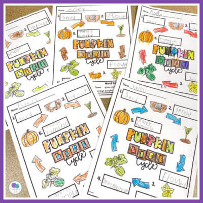 Best Pumpkin Activities For Elementary Students In First Grade ...