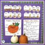 Best Pumpkin Activities For Elementary Students In First Grade ...