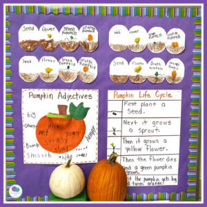 Best Pumpkin Activities For Elementary Students In First Grade ...
