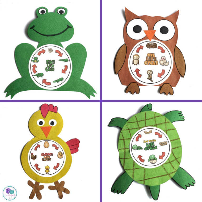 Learning About Oviparous Animals - Firstieland - First Grade Teacher Blog