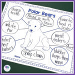 Polar Bear Activities & Printable Coloring Pages For Kids - Firstieland ...