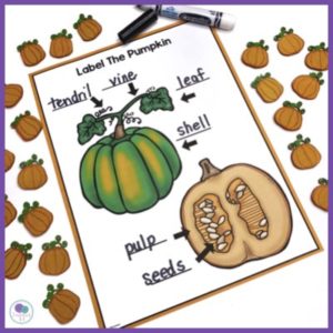 Best Pumpkin Activities For Elementary Students In First Grade ...
