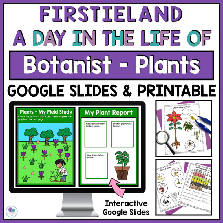 The Best Plant Life Cycle Activities For Kids In 2021 - Firstieland ...