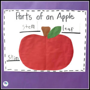 45 Ideas For The Best First Grade Fall Writing Prompts - Firstieland ...