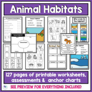 Animal Habitats Dioramas And Research End Of The Year Activities ...