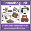 Groundhog Day Thematic Unit & Activities 1st Grade 2nd Grade Groundhog ...