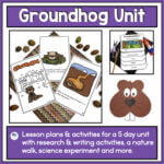 Groundhog Day Thematic Unit & Activities 1st Grade 2nd Grade Groundhog ...