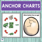 All About Frogs | Life Cycle Of A Frog | Kindergarten First Grade ...