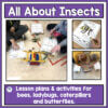 All About Insects And Bugs | Ladybugs Bees Butterflies | Thematic Unit ...