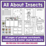 All About Insects And Bugs | Ladybugs Bees Butterflies | Thematic Unit ...