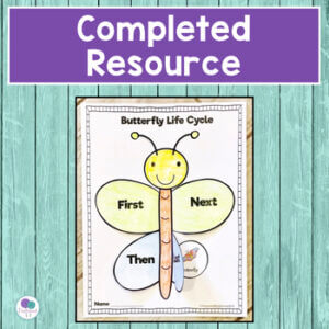 Life Cycle Of A Butterfly | Bugs And Insects | Kindergarten 1st Grade ...