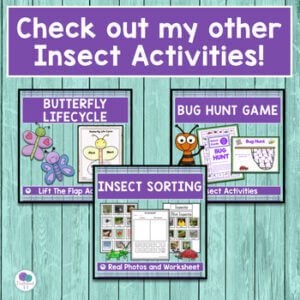 Bugs And Insects Activity | Insect Symmetry | Kindergarten 1st Grade ...