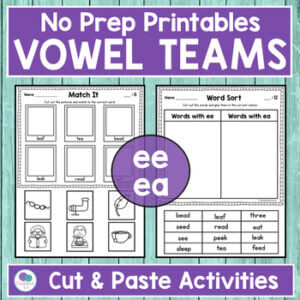 VOWEL TEAMS WORKSHEETS - Firstieland - First Grade Teacher Blog