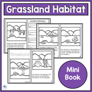 Grassland Habitat - Animal Habitats - Firstieland - First Grade Teacher ...