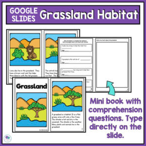 Animals Habitats Grassland Google Slides Digital Distance Learning ...