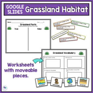 Animals Habitats Grassland Google Slides Digital Distance Learning ...
