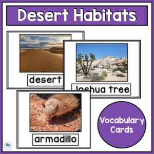 Desert Habitat - Animal Habitats - Firstieland - First Grade Teacher Blog
