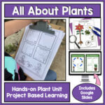 All About Plants | Life Cycle Of A Plant | Thematic Unit For 1st Grade ...