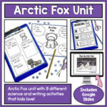 Arctic Fox Lesson Plans For Arctic Animals First Grade 2nd Grade ...