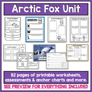 Arctic Fox Lesson Plans For Arctic Animals First Grade 2nd Grade ...