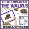 Walrus Life Cycle Lesson Plans For Arctic Animals First Grade 2nd Grade ...