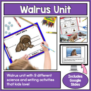 Walrus Life Cycle Lesson Plans For Arctic Animals First Grade 2nd Grade ...