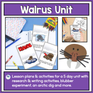 Walrus Life Cycle Lesson Plans For Arctic Animals First Grade 2nd Grade ...
