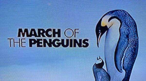 26 Best Winter Movies For Kids To Watch On A Snowy Day - Firstieland ...