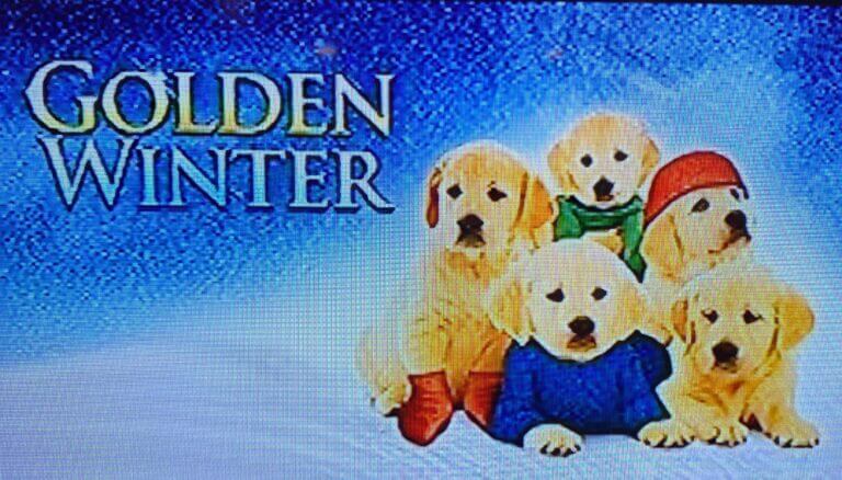 26 Best Winter Movies For Kids To Watch On A Snowy Day - Firstieland ...