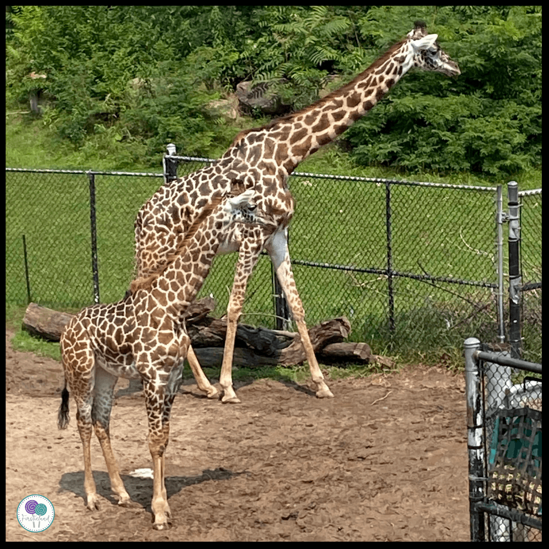 Ultimate List Of 54 Fun Summer Activities For Teachers - Firstieland ...